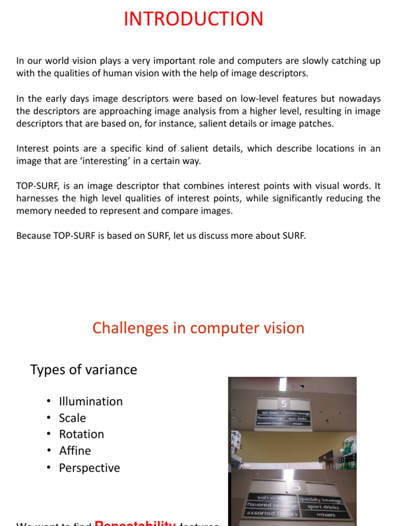 Top Surf | PDF | Computer Vision | Vision