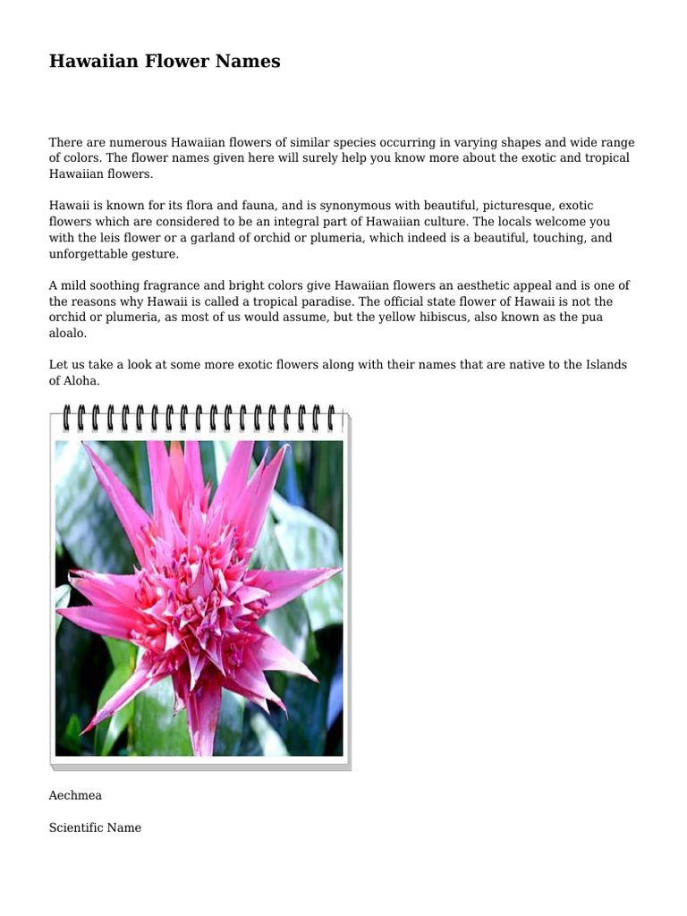 Hawaiian Flower Names | PDF