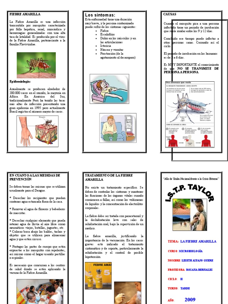 Triptico de La Fiebre Amarilla | PDF | Fiebre amarilla | Medicina ... Triptico de La Fiebre Amarilla | PDF | Fiebre amarilla | Medicina ...