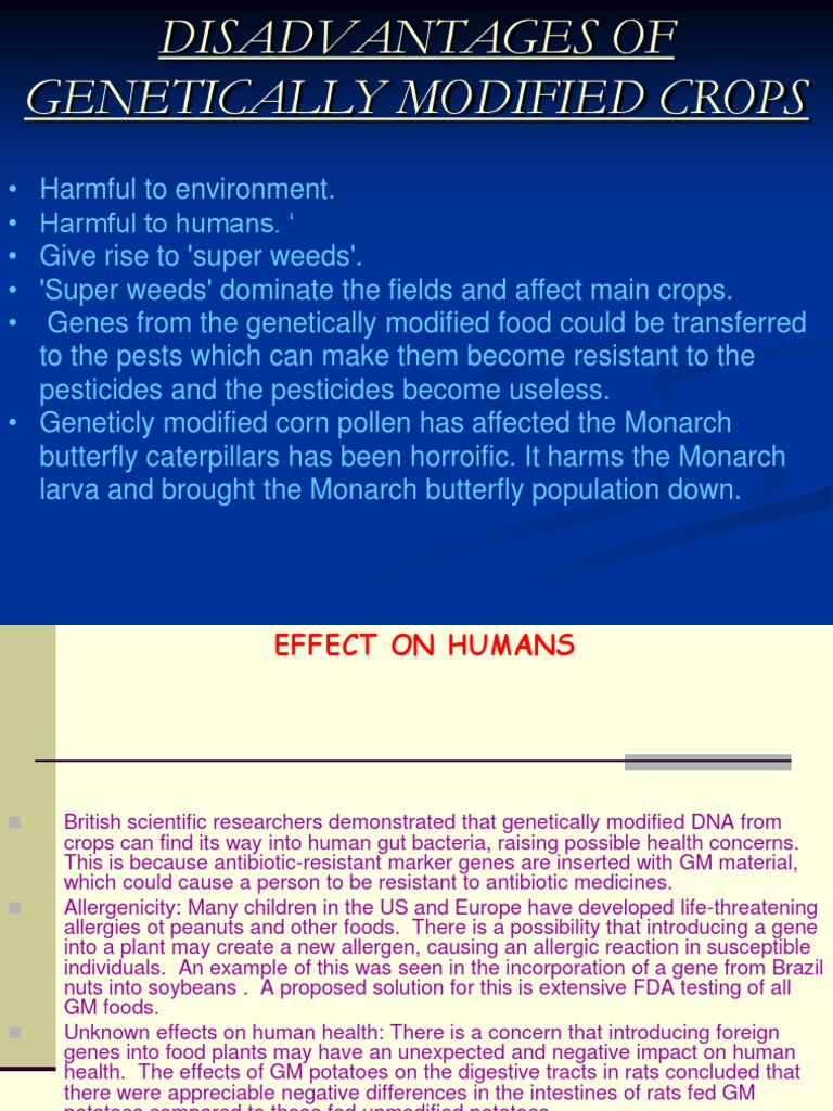 Disadvantages of Genetically Modified Crops | PDF | Genetically ...