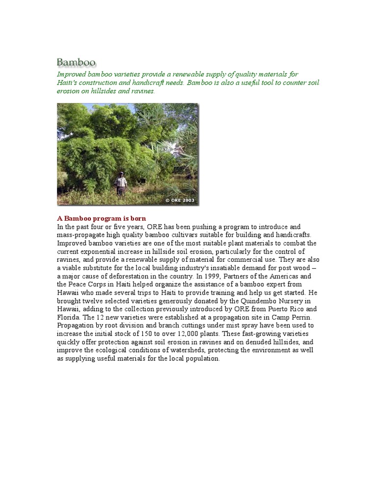 Bamboo | PDF | Bamboo | Agronomy