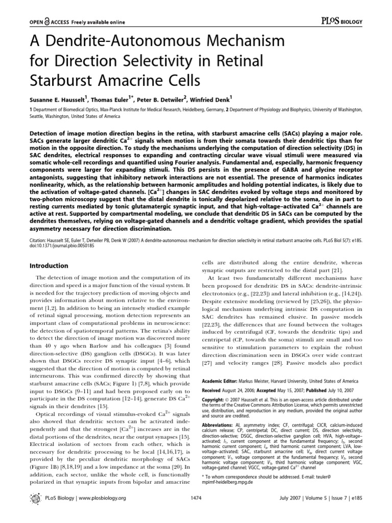 Starburst Cells | PDF | Inhibitory Postsynaptic Potential | Dendrite