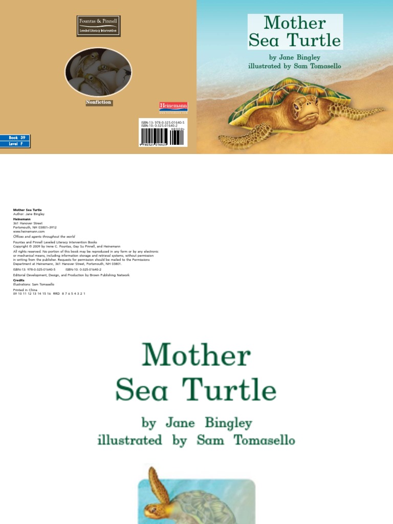 All About Mother Sea Turtle | PDF | Turtle | Sea Turtle