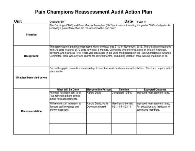 Action Plan Final | PDF