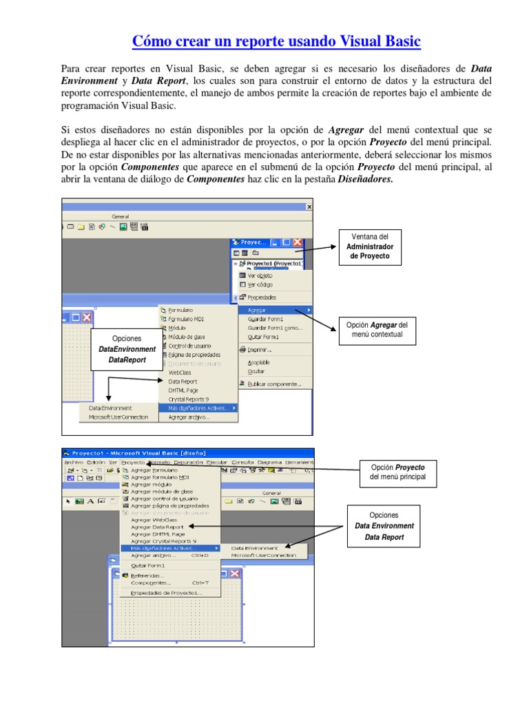 Crear Reportes en Visual Basic | Ventana (informática) | Point and Click