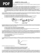 Caldo LMX Fluorocult | PDF