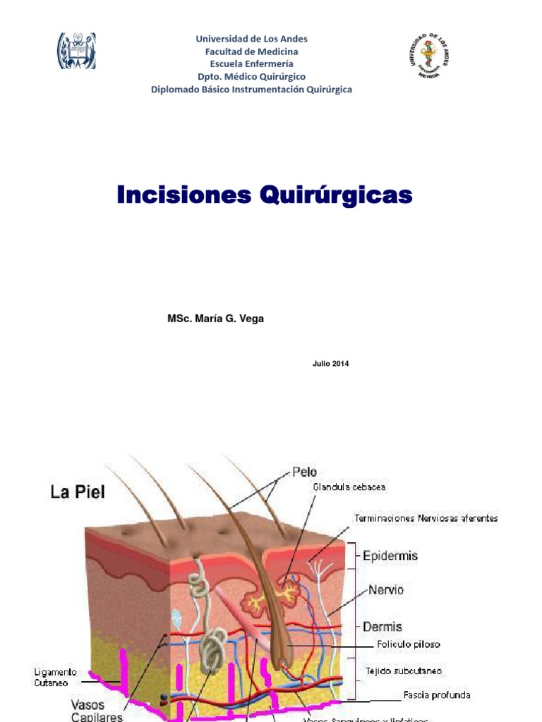 Incisiones Quirúrgicas | Herida | Piel