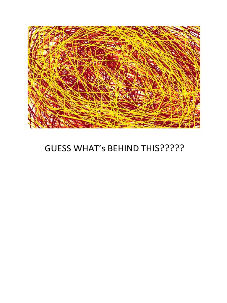 Guess What 1 | PDF