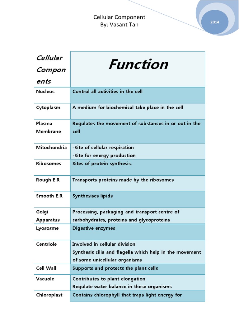 Cellular Components & Functions Guide | PDF | Cell (Biology ...