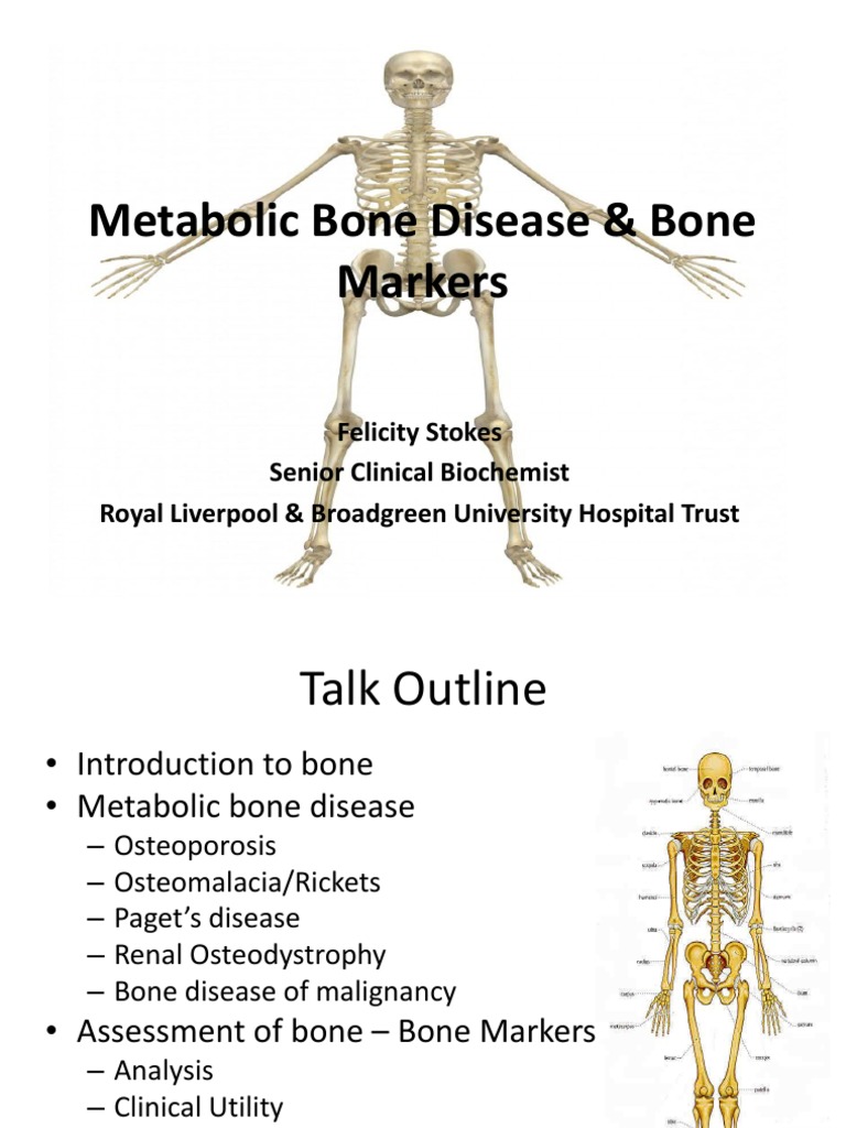 Metabolic Bone Disease & Bone Markers - Slides | Bone | Osteoporosis