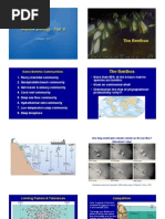 Sandy Beach Ecosystems Explained | PDF | Beach | Coast