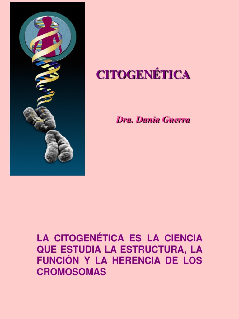 Tema 3 Citogenetica | PDF | Cariotipo | Cromosoma