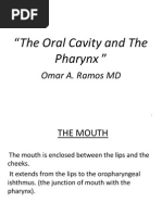 Appendix_5_Ulna_Length_Chart_Updated | PDF | Joints | Primate Anatomy