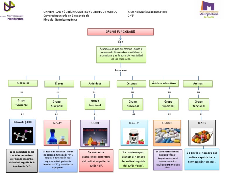 Mapa Conceptual de Los Grupos Funcionales
