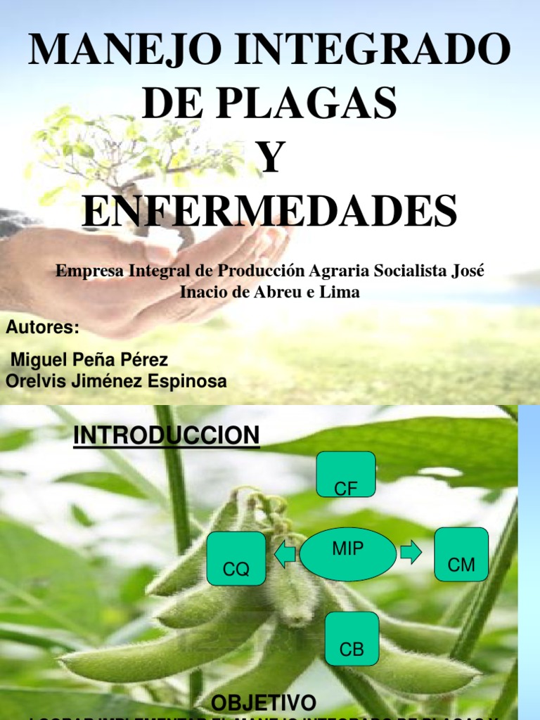 Manejo Integrado de Plagas y Enfermedades | PDF | Plaga (organismo) | Insectos