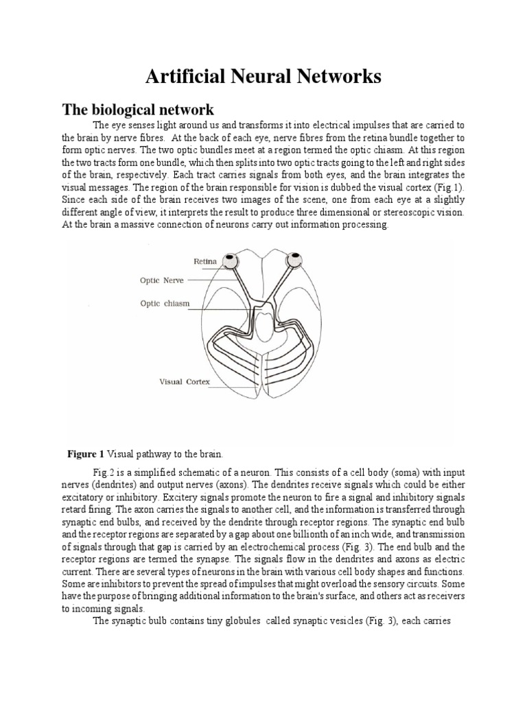 Artificial Neural Networks Basics Pdf Neuron Brain