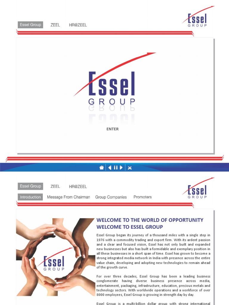 Essel Group Presentation | PDF | Movie Theater | Direct Broadcast Satellite