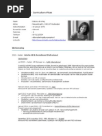 6 Componenten Model Boselie | PDF