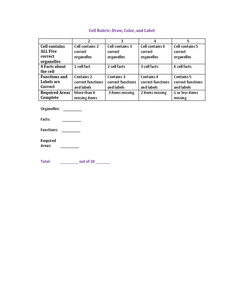 Cell Organelle Drawing Rubric | PDF
