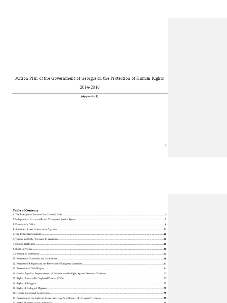 Action Plan - Final | PDF | Prosecutor | Human Trafficking