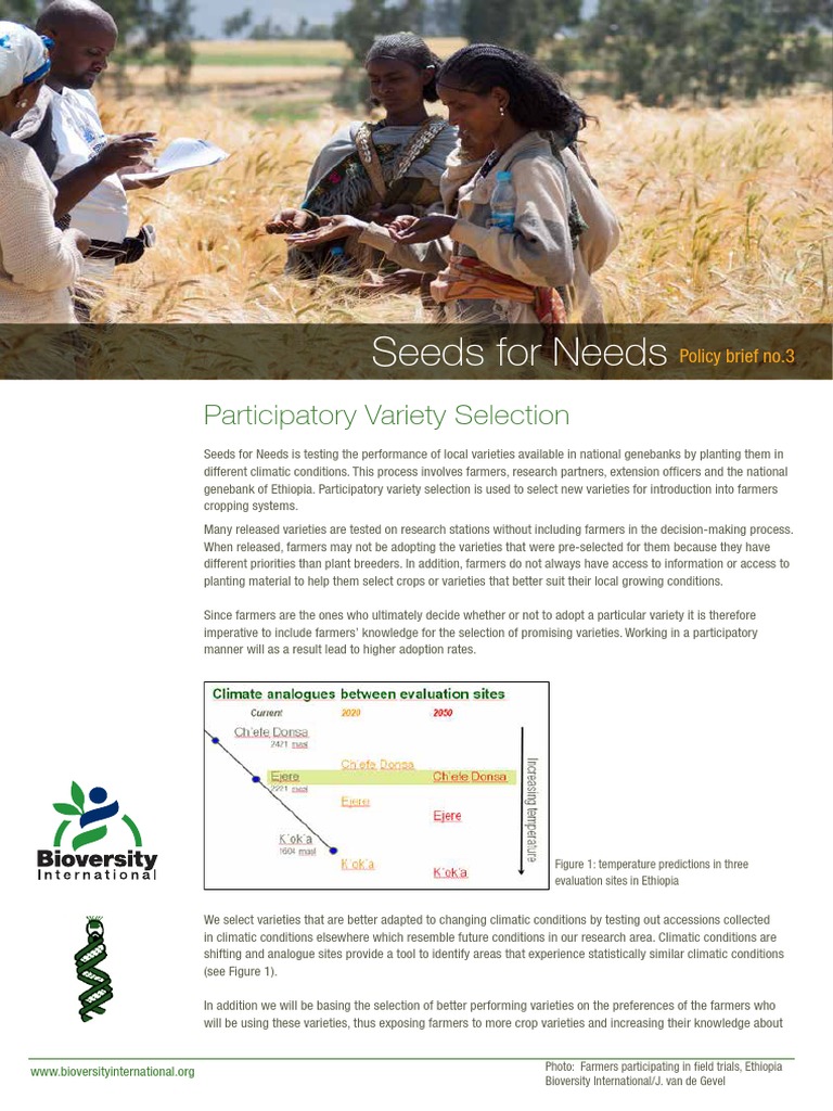 Seeds For Needs Participatory Variety Selection 1686 | PDF | Plant ...