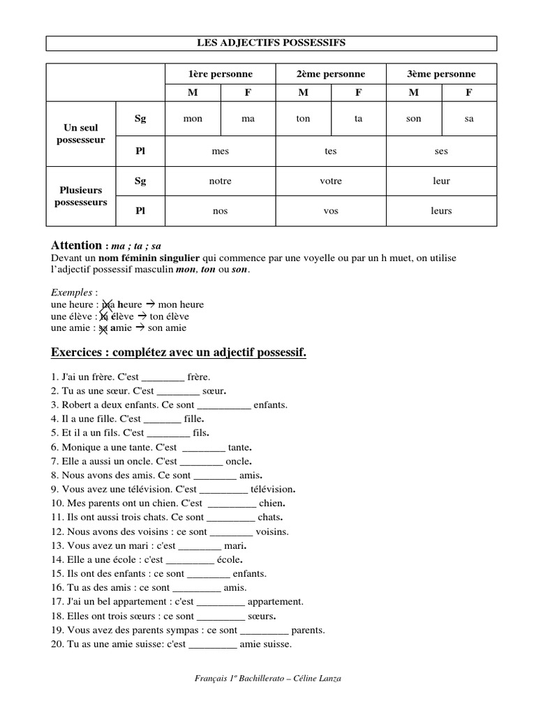 Les Adjectifs Possessifs | PDF