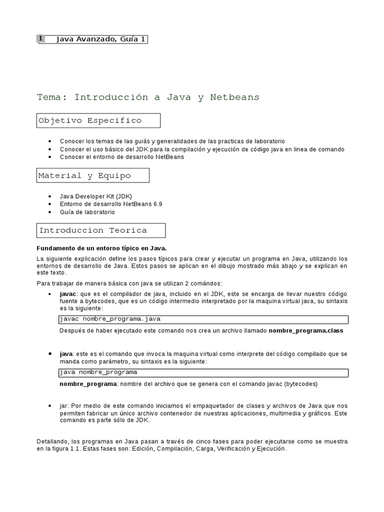Tema Introduccion A Java y Netbeans | PDF | Frijoles Netos | Aplicaciones y software