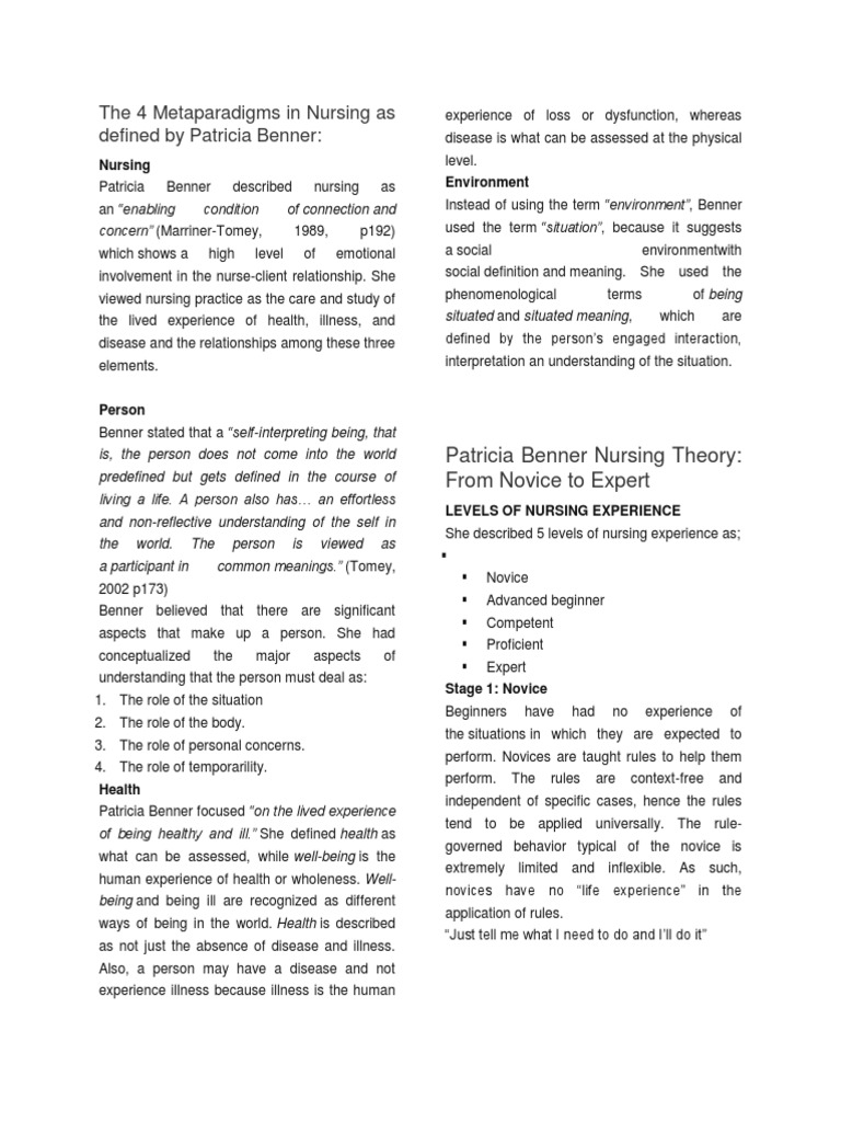 Patricia Benner's Novice to Expert Nursing Theory: A Comprehensive ...