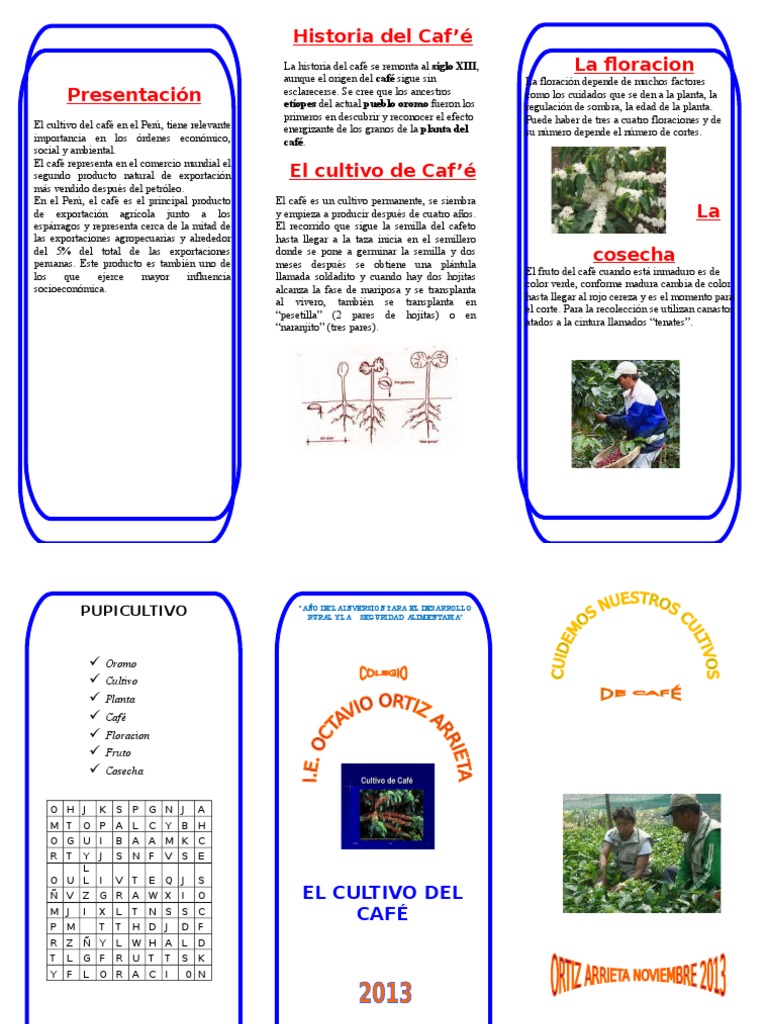 Triptico Cultivo de Cafe | PDF