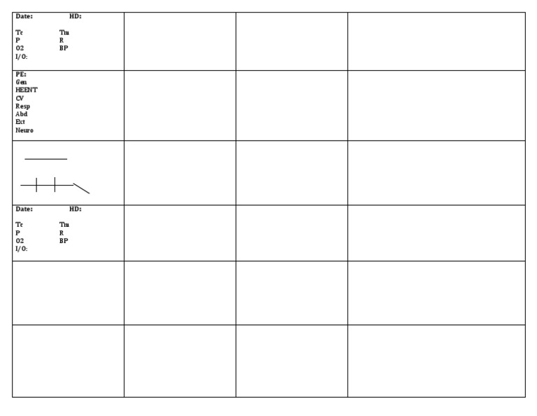 Medical Chart Template | PDF