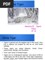 Sean Lock: The Tiger Who Came For A Pint | PDF