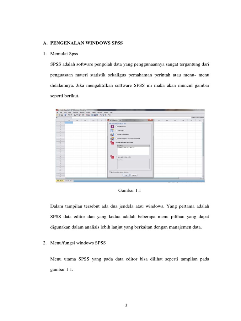 Panduan Dasar SPSS untuk Pemula | PDF