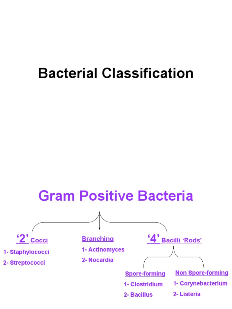 Bacterial Classification | PDF