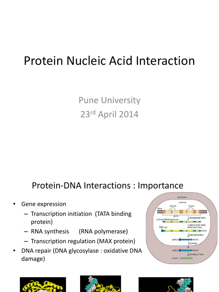 Protein NA Interaction | PDF | Dna | Rna