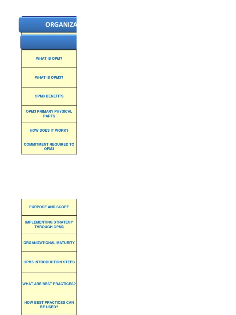 OPM3: Best Practices & Implementation | PDF | Project Management | Risk ...