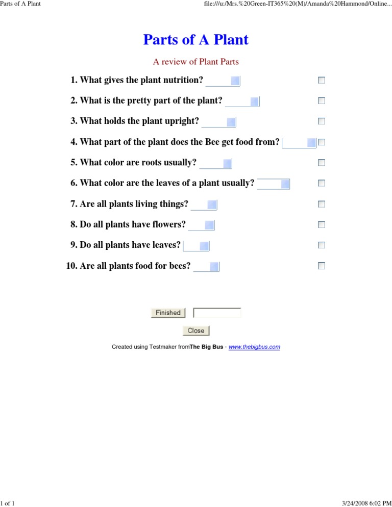 Plant Parts Quiz and Review | PDF | Science & Mathematics