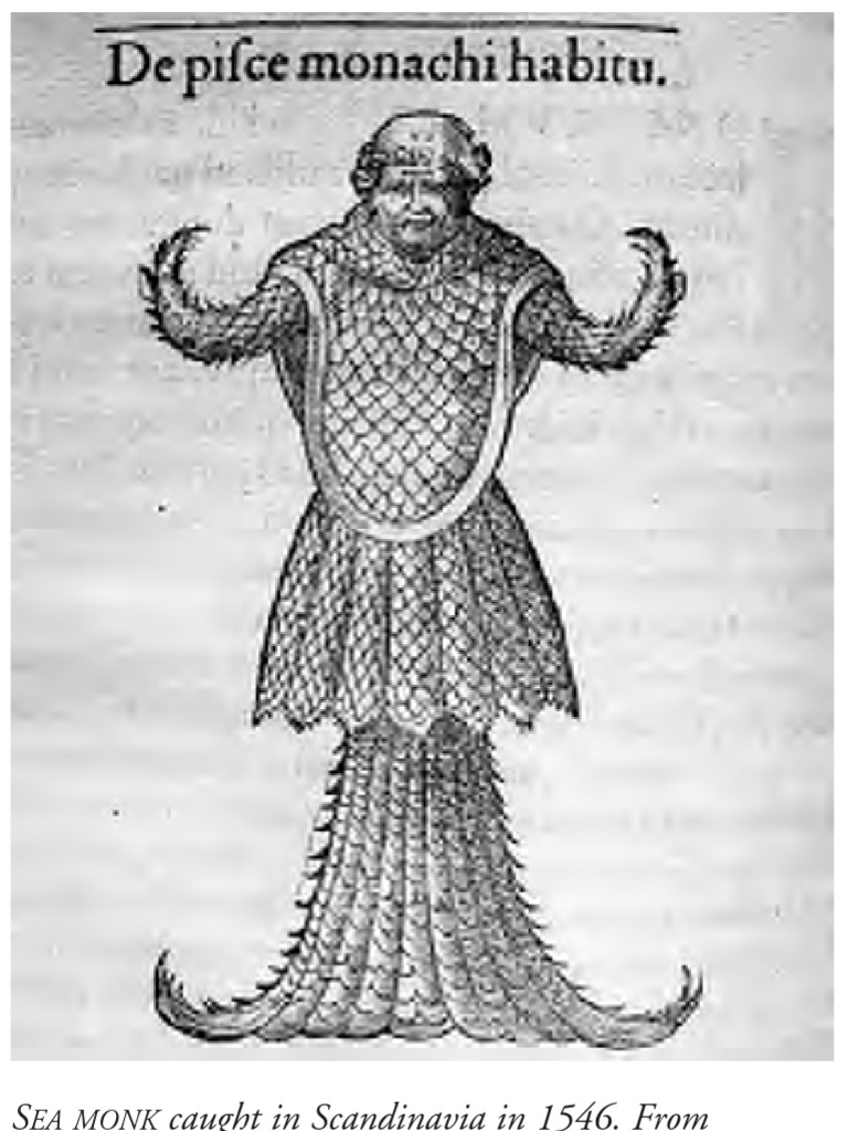 Rare 1546 SEA MONK Discovery | PDF | Marine Vertebrates | Ungulates