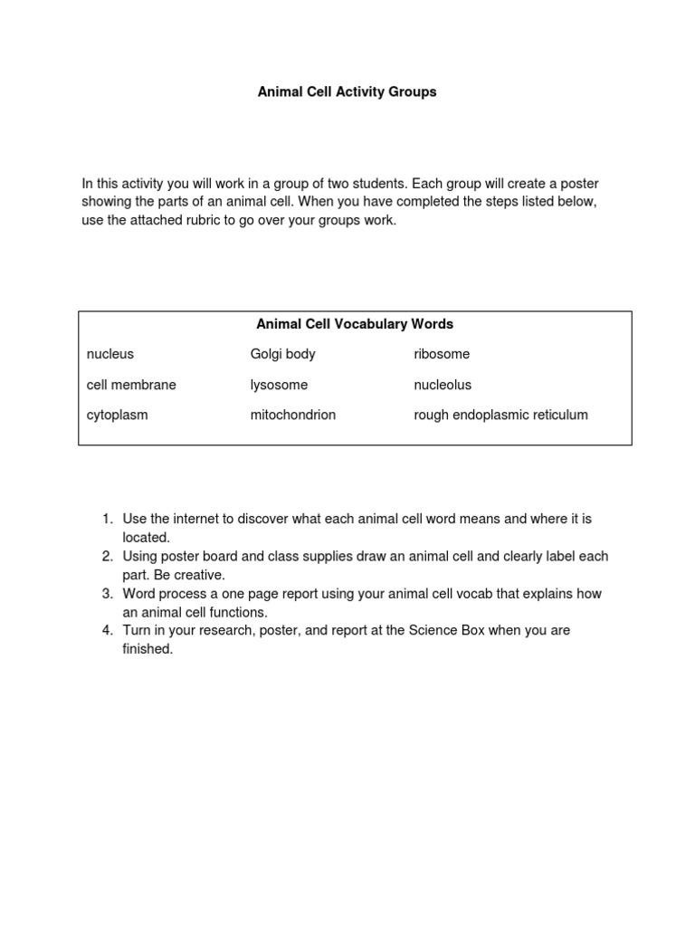 Animal Cell Vocabulary and Activity Guide | PDF