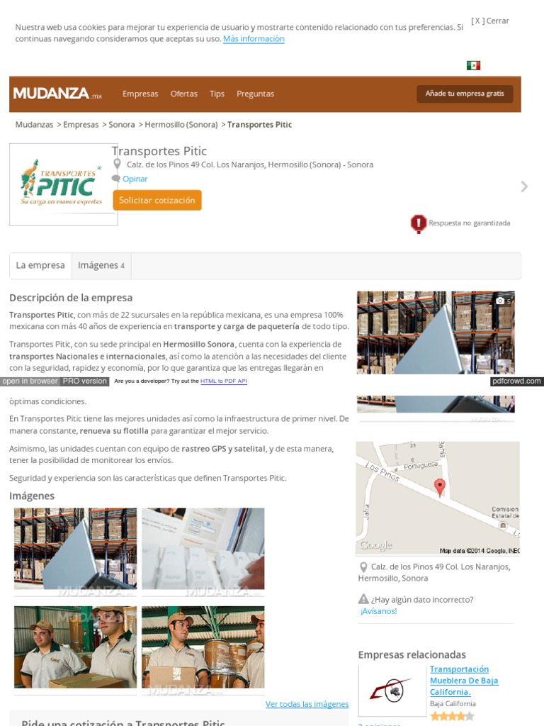 Transportes Pitic: Líder en Logística Mexicana | PDF | Sonora | Informática
