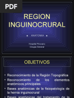Anatomía de la Región Inguinocrural | PDF | Abdomen | Anatomía