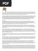 Understanding Capsular Patterns in Joints | PDF