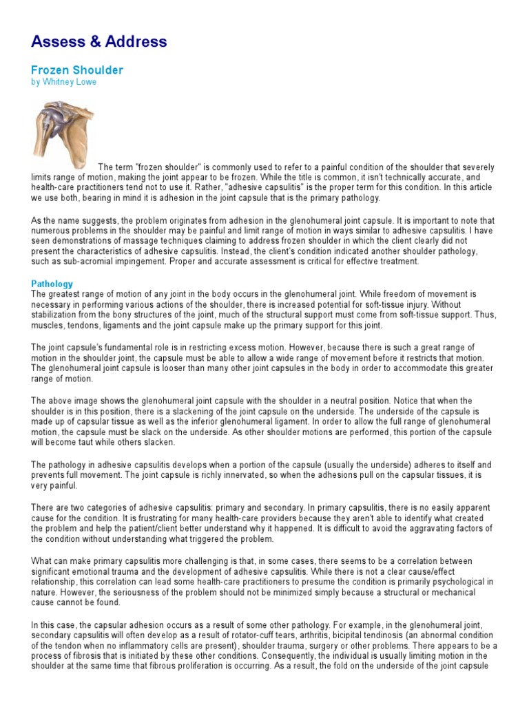 Frozen Shoulder Whitney Lowe Massage Mag | PDF | Shoulder ...