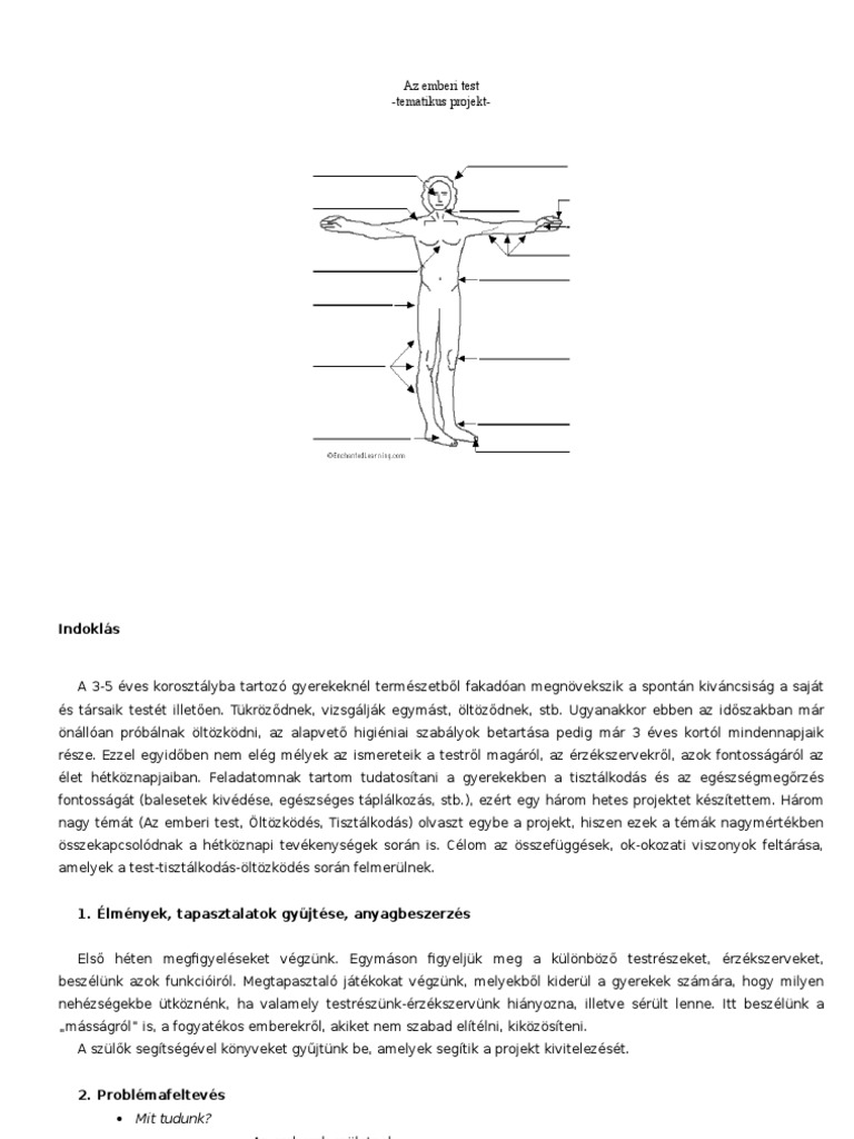 Testreszek Projekt | PDF