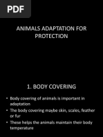 EBEIS Color Code - Meaning | PDF | Color | Yellow