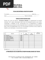 Termo de Recebimento e de Responsabilidade Do Epi | PDF