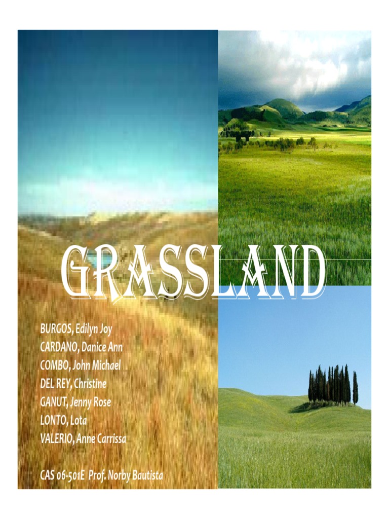 Grasslands | PDF | Grassland | Prairie