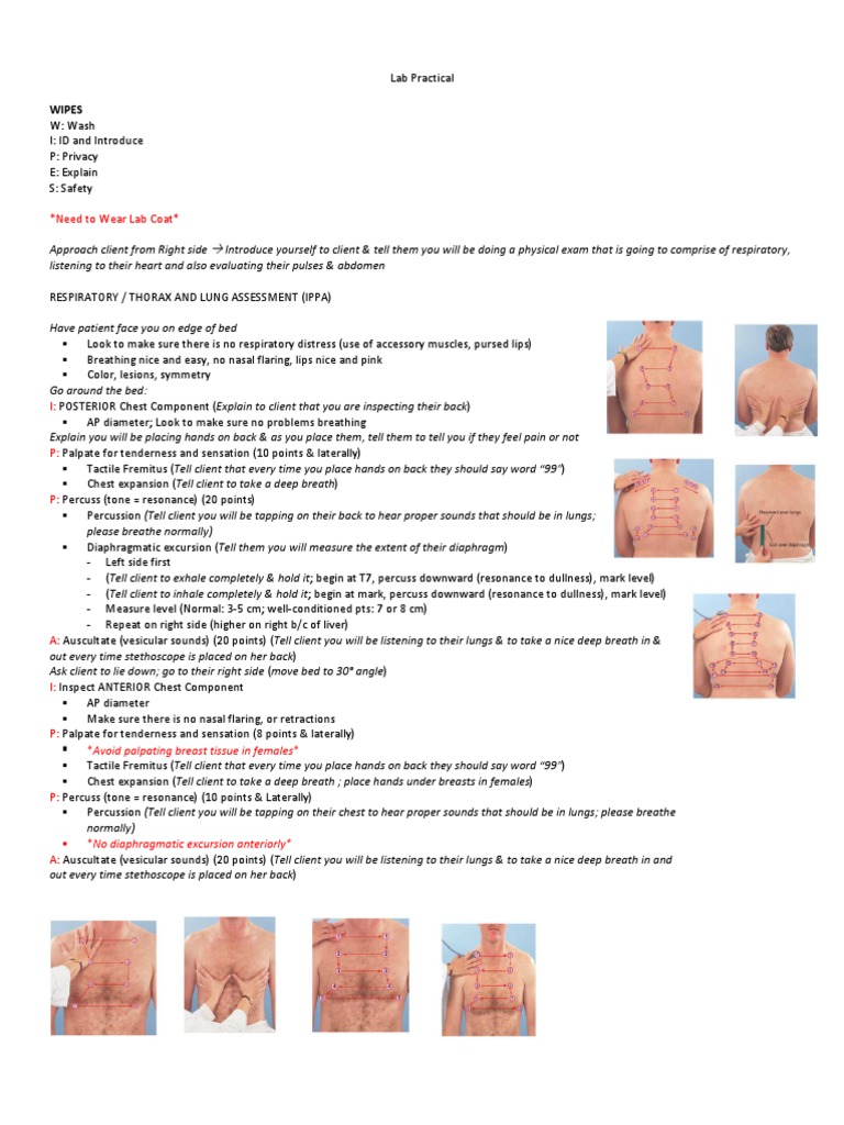 HA Lab Practical | PDF | Breathing | Pulse