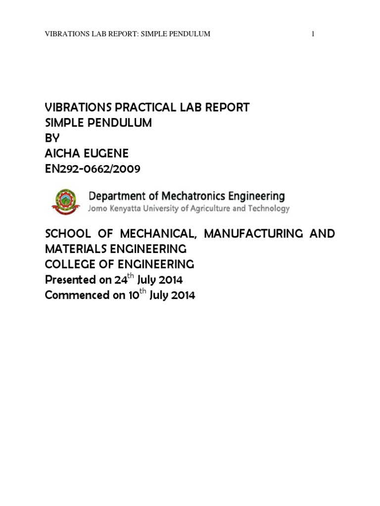 Vibrations Practical Lab Report 2 | PDF | Pendulum | Gravity