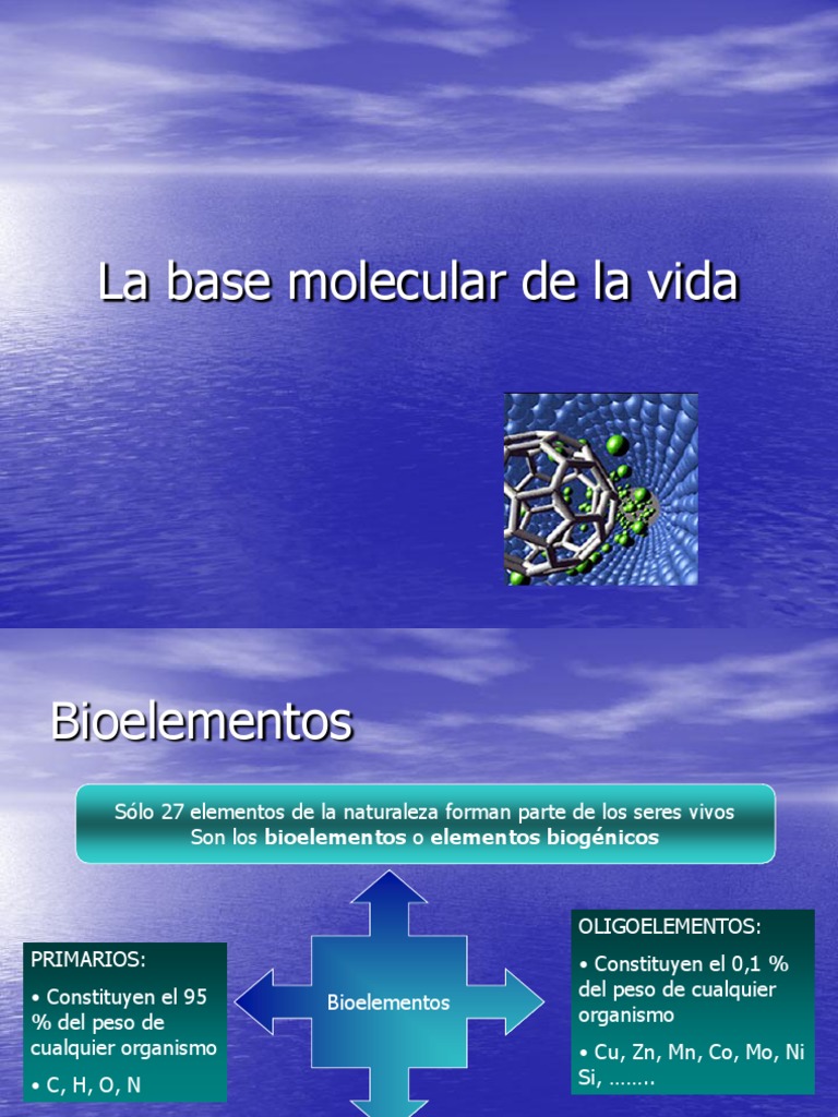La Base Molecular de La Vida 1 | PDF