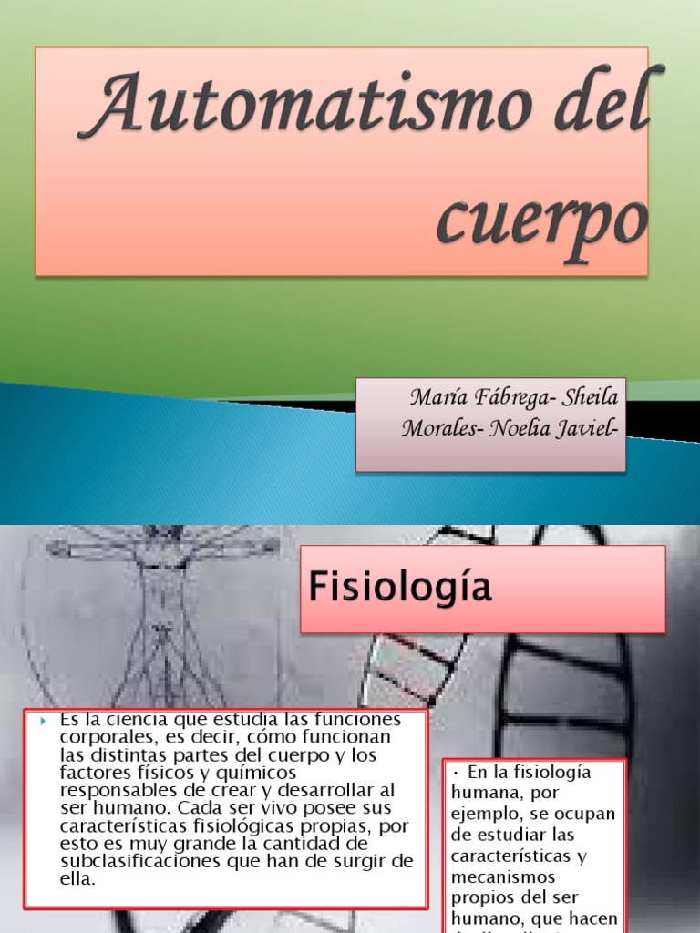 Automatismo del cuerpo.pptx | Sangre | Metabolismo